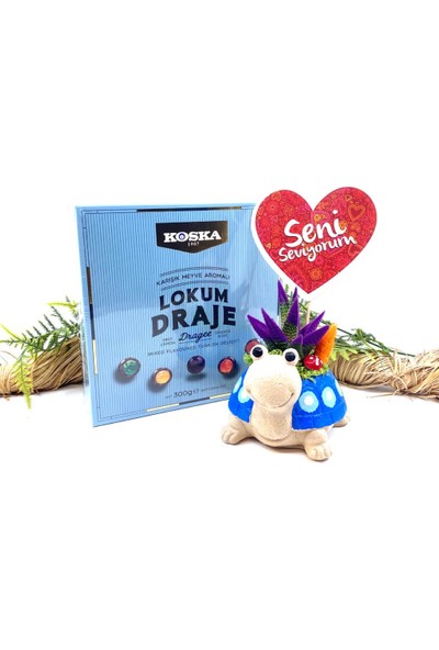 Mega Kanyon Canlı Mor Sukulentli (Haworthia) Sevimli Kaplumbağa ve Meyveli Lokum Aranjmanı M26