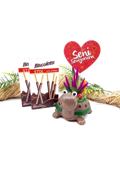 Mega Kanyon Canlı Pembe Sukulentli (Haworthia) Sevimli Kaplumbağa ve Çikolata Aranjmanı M24 Mega Kanyon Canlı Pembe Sukulentli (Haworthia) Sevimli Kaplumbağa ve Çikolata Aranjmanı M24