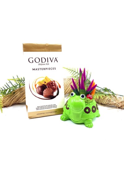 Mega Kanyon Canlı Pembe Sukulentli (Haworthia) Sevimli Kaplumbağa ve Godiva Çikolata Aranjmanı M9 Mega Kanyon Canlı Pembe Sukulentli (Haworthia) Sevimli Kaplumbağa ve Godiva Çikolata Aranjmanı M9