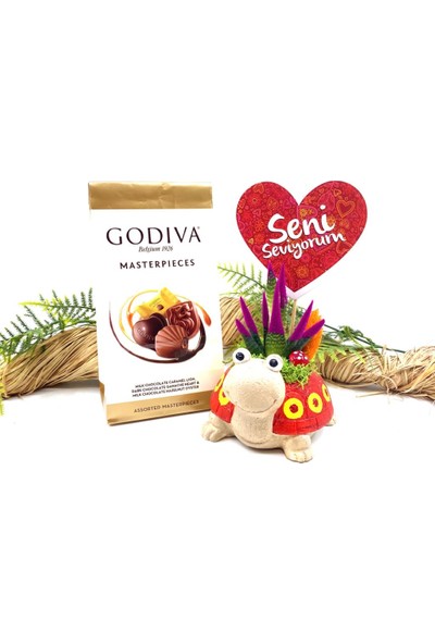 Mega Kanyon Canlı Pembe Sukulentli (Haworthia) Sevimli Kaplumbağa ve Godiva Çikolata Aranjmanı M4 Mega Kanyon Canlı Pembe Sukulentli (Haworthia) Sevimli Kaplumbağa ve Godiva Çikolata Aranjmanı M4