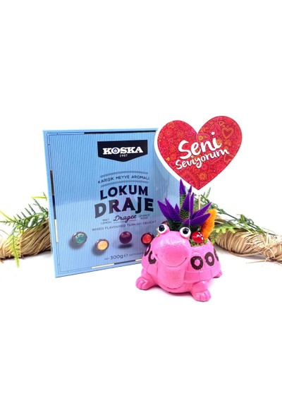 Mega Kanyon Canlı Mor Sukulentli (Haworthia) Sevimli Kaplumbağa ve Meyveli Lokum Aranjmanı M12