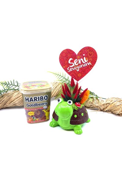 Mega Kanyon Canlı Kırmızı Sukulentli (Haworthia) Sevimli Kaplumbağa ve Haribo Aranjmanı M10 Mega Kanyon Canlı Kırmızı Sukulentli (Haworthia) Sevimli Kaplumbağa ve Haribo Aranjmanı M10