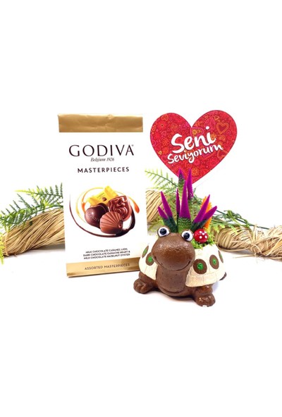 Mega Kanyon Canlı Pembe Sukulentli (Haworthia) Sevimli Kaplumbağa ve Godiva Çikolata Aranjmanı M20 Mega Kanyon Canlı Pembe Sukulentli (Haworthia) Sevimli Kaplumbağa ve Godiva Çikolata Aranjmanı M20