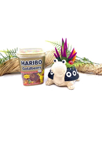 Mega Kanyon Canlı Pembe Sukulentli (Haworthia) Sevimli Kaplumbağa ve Haribo Aranjmanı M11 Mega Kanyon Canlı Pembe Sukulentli (Haworthia) Sevimli Kaplumbağa ve Haribo Aranjmanı M11