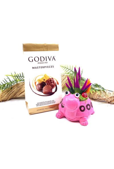 Mega Kanyon Canlı Pembe Sukulentli (Haworthia) Sevimli Kaplumbağa ve Godiva Çikolata Aranjmanı M13 Mega Kanyon Canlı Pembe Sukulentli (Haworthia) Sevimli Kaplumbağa ve Godiva Çikolata Aranjmanı M13