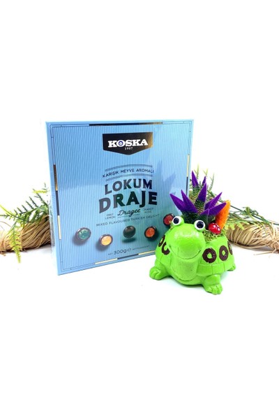 Mega Kanyon Canlı Mor Sukulentli (Haworthia) Sevimli Kaplumbağa ve Meyveli Lokum Aranjmanı M15