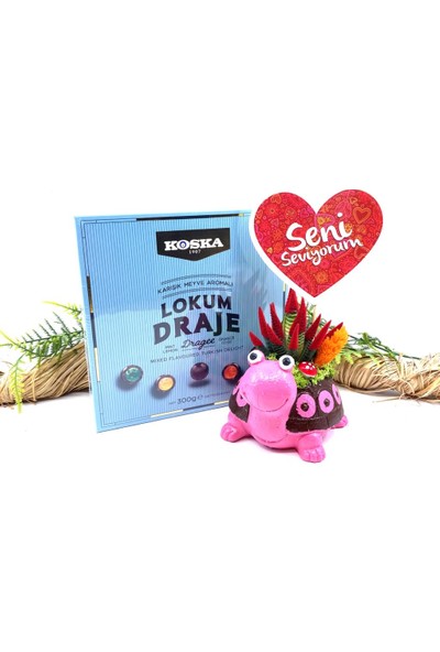 Mega Kanyon Canlı Kırmızı Sukulentli (Haworthia) Sevimli Kaplumbağa ve Meyveli Lokum Aranjmanı M26 Mega Kanyon Canlı Kırmızı Sukulentli (Haworthia) Sevimli Kaplumbağa ve Meyveli Lokum Aranjmanı M26