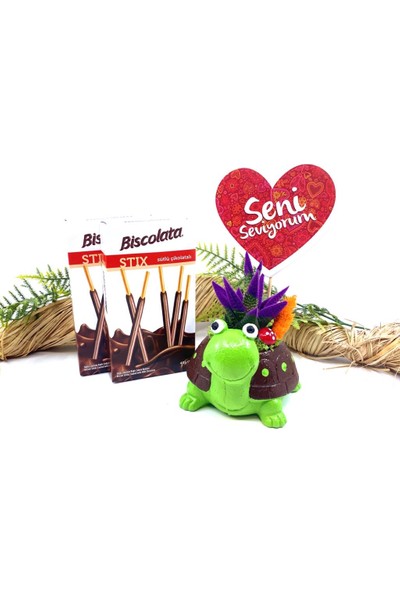 Mega Kanyon Canlı Mor Sukulentli (Haworthia) Sevimli Kaplumbağa ve Çikolata Aranjmanı M10