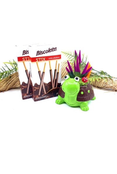 Mega Kanyon Canlı Pembe Sukulentli (Haworthia) Sevimli Kaplumbağa ve Çikolata Aranjmanı M15 Mega Kanyon Canlı Pembe Sukulentli (Haworthia) Sevimli Kaplumbağa ve Çikolata Aranjmanı M15