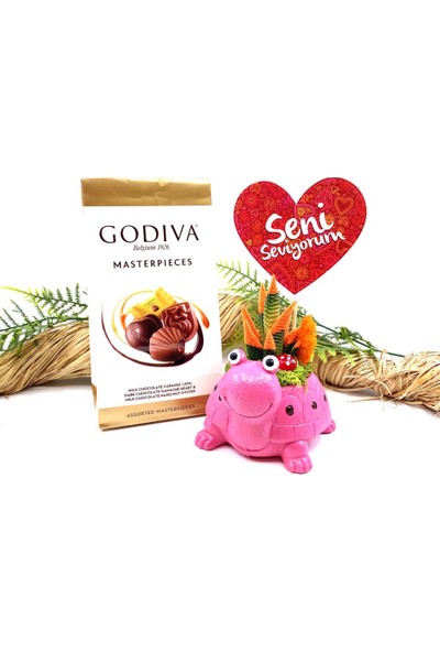 Mega Kanyon Canlı Turuncu Sukulentli (Haworthia) Sevimli Kaplumbağa ve Godiva Çikolata Aranjmanı M6 Mega Kanyon Canlı Turuncu Sukulentli (Haworthia) Sevimli Kaplumbağa ve Godiva Çikolata Aranjmanı M6