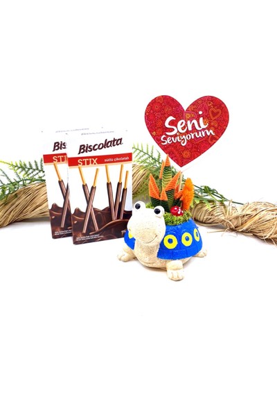 Mega Kanyon Canlı Turuncu Sukulentli (Haworthia) Sevimli Kaplumbağa ve Çikolata Aranjmanı M26 Mega Kanyon Canlı Turuncu Sukulentli (Haworthia) Sevimli Kaplumbağa ve Çikolata Aranjmanı M26