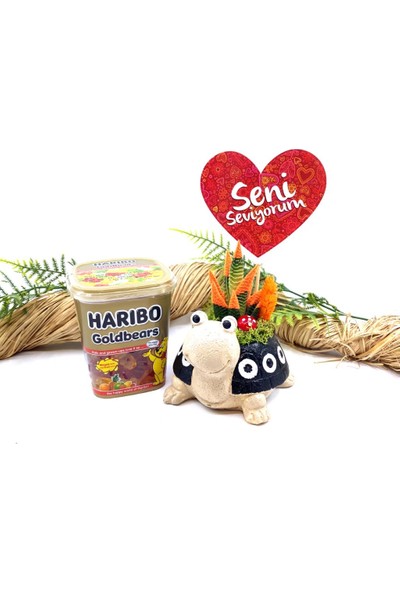 Mega Kanyon Canlı Turuncu Sukulentli (Haworthia) Sevimli Kaplumbağa ve Haribo Aranjmanı M18 Mega Kanyon Canlı Turuncu Sukulentli (Haworthia) Sevimli Kaplumbağa ve Haribo Aranjmanı M18