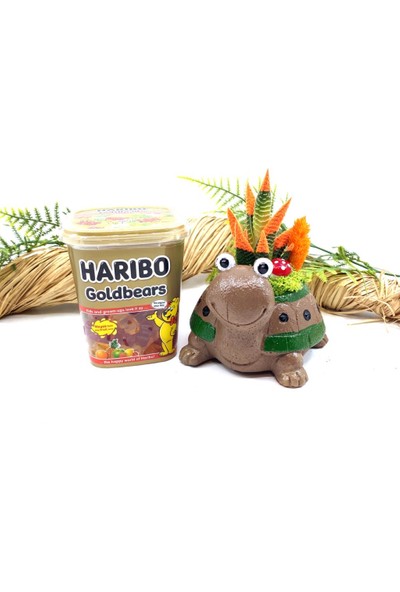 Mega Kanyon Canlı Turuncu Sukulentli (Haworthia) Sevimli Kaplumbağa ve Haribo Aranjmanı M3 Mega Kanyon Canlı Turuncu Sukulentli (Haworthia) Sevimli Kaplumbağa ve Haribo Aranjmanı M3