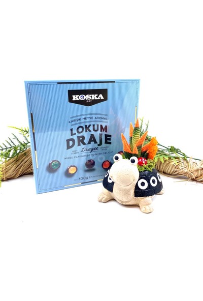 Mega Kanyon Canlı Turuncu Sukulentli (Haworthia) Sevimli Kaplumbağa ve Meyveli Lokum Aranjmanı M17 Mega Kanyon Canlı Turuncu Sukulentli (Haworthia) Sevimli Kaplumbağa ve Meyveli Lokum Aranjmanı M17