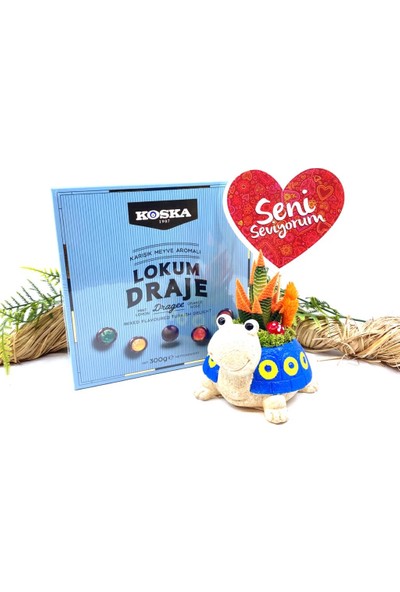 Mega Kanyon Canlı Turuncu Sukulentli (Haworthia) Sevimli Kaplumbağa ve Meyveli Lokum Aranjmanı M26 Mega Kanyon Canlı Turuncu Sukulentli (Haworthia) Sevimli Kaplumbağa ve Meyveli Lokum Aranjmanı M26