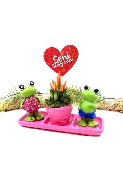 Mega Kanyon Özel Tasarım Canlı Turuncu Sukulentli (Haworthia) Kurbağalı Saksı Aranjmanı M4 Mega Kanyon Özel Tasarım Canlı Turuncu Sukulentli (Haworthia) Kurbağalı Saksı Aranjmanı M4