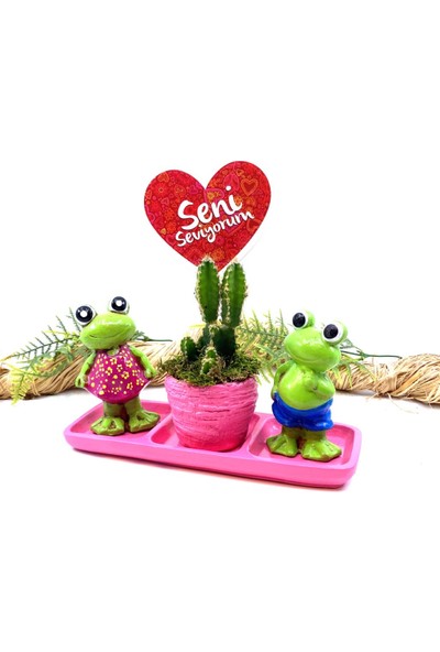 Mega Kanyon Özel Tasarım Canlı Mexico Kaktüslü Kurbağalı Saksı Aranjmanı M4