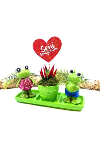 Mega Kanyon Özel Tasarım Canlı Kırmızı Sukulentli (Haworthia) Kurbağalı Saksı Aranjmanı M3 Mega Kanyon Özel Tasarım Canlı Kırmızı Sukulentli (Haworthia) Kurbağalı Saksı Aranjmanı M3