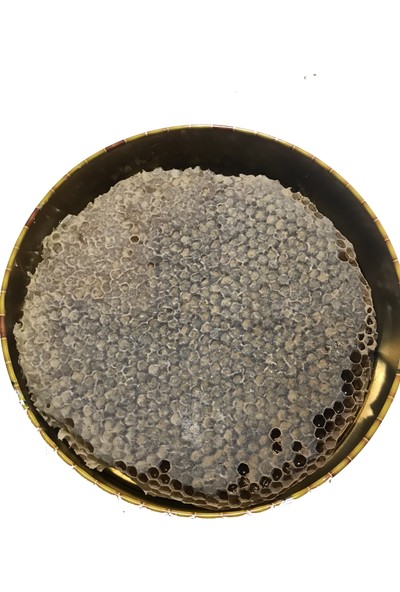 Balsan Organil Karakovan Petek Balı 2250 gr Balsan Organil Karakovan Petek Balı 2250 gr