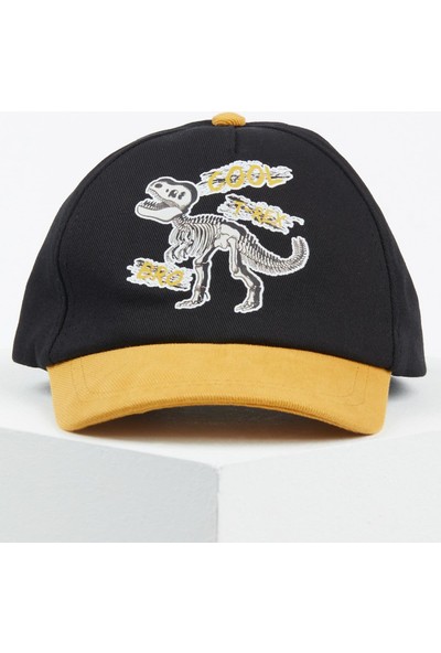 Defacto Erkek Çocuk Dinozor Baskılı Baseball Şapka T9982A621SM Defacto Erkek Çocuk Dinozor Baskılı Baseball Şapka T9982A621SM
