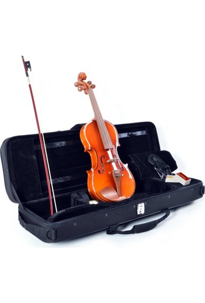 Dominguez Gül Keman (DVR44N) Parlak