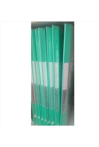 Rubenis Yeşil Ince Klasör