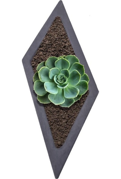 Hobizubi Silikon Beton Saksı Baklava Kalıbı