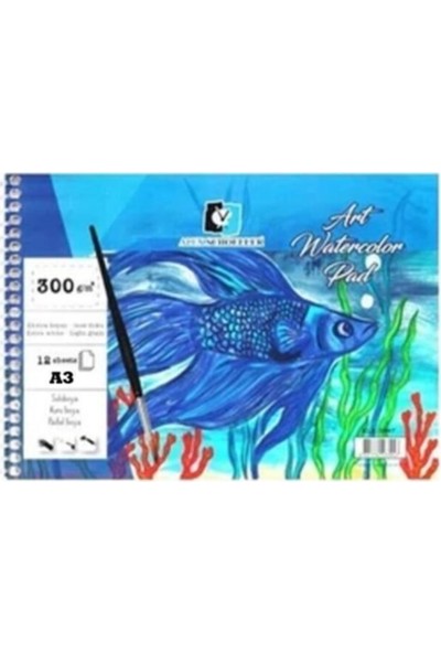 Alex Schoeller Resim Defteri A3 12 Yaprak 300 gr