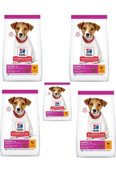 Hills Small Mini Puppy Küçük Mini Irk Yavru Köpek Maması 300 x 5 - 1,5 kg Hills Small Mini Puppy Küçük Mini Irk Yavru Köpek Maması 300 x 5 - 1,5 kg