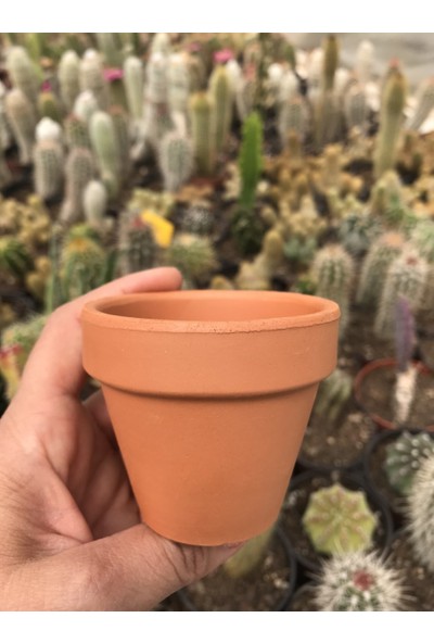 Ünal Kaktüs Toprak Saksı 5,5 cm
