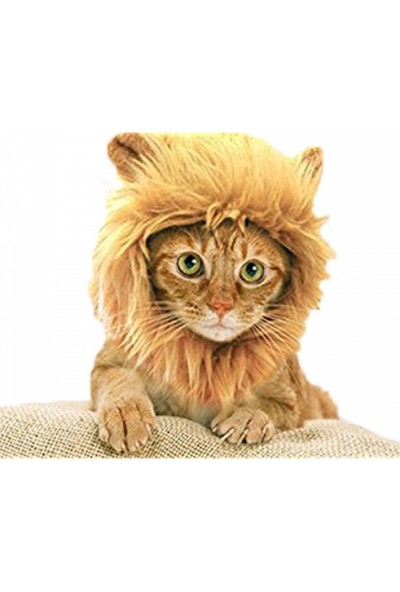 Go İthalat Kedi Aslan Yelesi Peruk