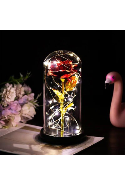 Hediyesahibi Dekoratif Gül Tasarımlı Led Işıklı Cam Fanus