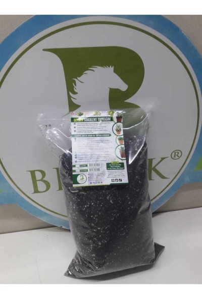 Beybek Gübre Sukulent Toprağı 10 Litre Beybek Beybek Gübre Sukulent Toprağı 10 Litre Beybek