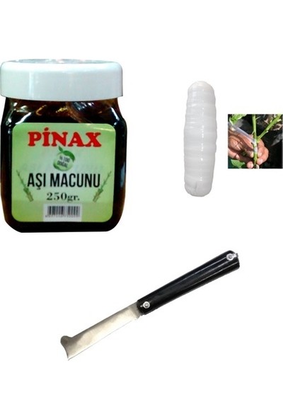 Pinax Aşı Seti 1 - Aşı Macunu + Aşı Bandı Aşı Çakısı Pinax Aşı Seti 1 - Aşı Macunu + Aşı Bandı Aşı Çakısı