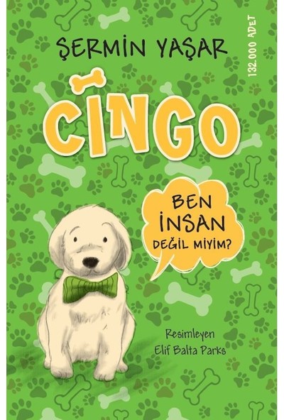 Cingo - Şermin Yaşar