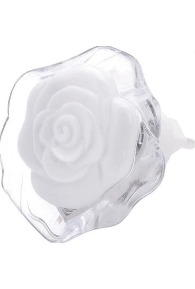 Horoz Max Gece Lambası 0,3W