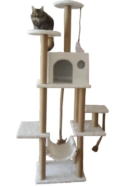 Pethome Alpi Pethomealpi Kedi Tırmalama Evi ve Oyun Platformu %100 Garanti 170 cm