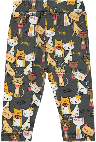 Civil Baby Kız Bebek Uzun Tayt 6-18 Ay Antrasit