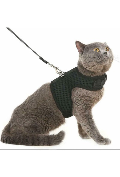 Nefes Alabilen Kedi Göğüs Tasma Seti Boyun Çevre 24-30 cm Gögüs 34-40 cm