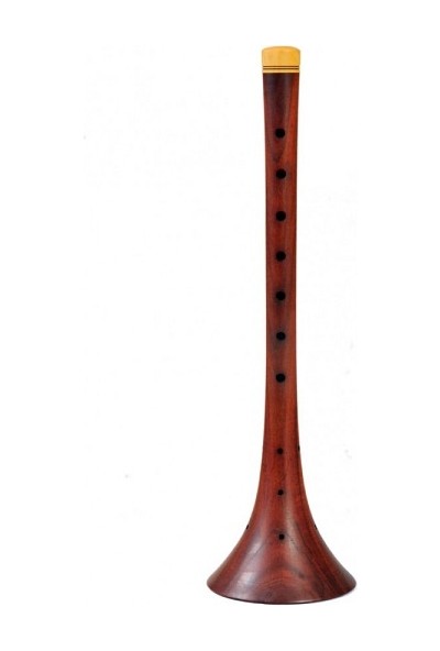 Saz 220C-LA Erik Zurna