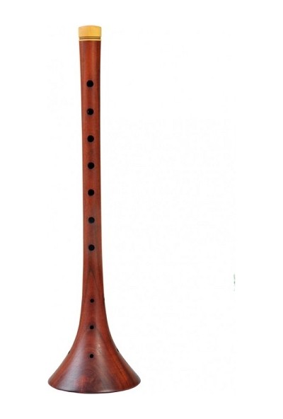 Saz 220D-SOL Erik Zurna