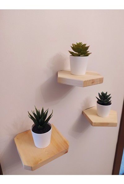 Babyroomstore Ahşap Dekoratif Duvar Raf Seti 5'li Saksılık ve Çiçeklik Babyroomstore Ahşap Dekoratif Duvar Raf Seti 5'li Saksılık ve Çiçeklik