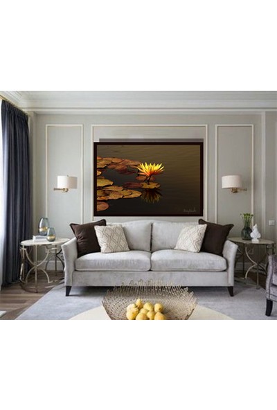 Photografernn Nilüfer