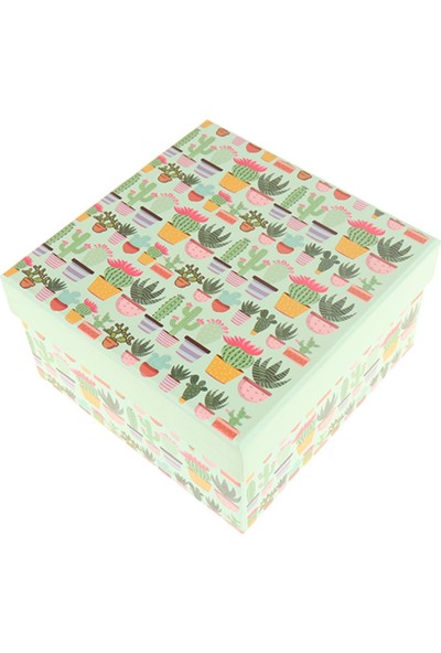 Attach Kaktüs Tasarım Armağan Kutusu No : 3