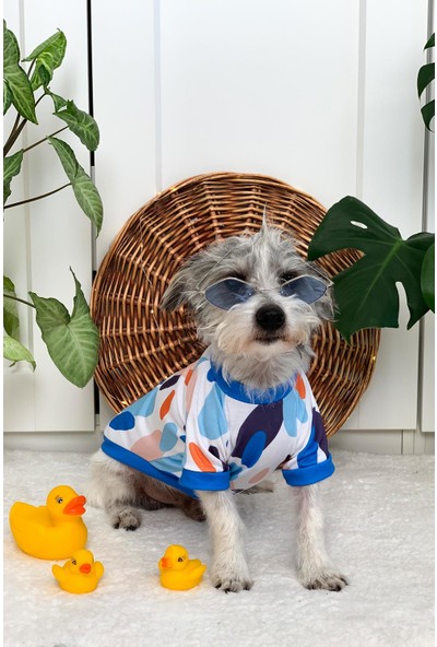 Pink Pati Köpek ve Kedi Kıyafeti Sweat Mavi-Beyaz-M