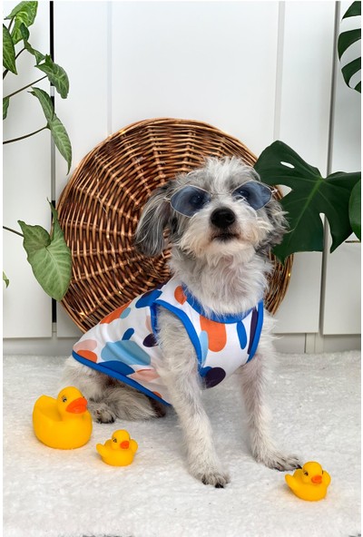 Pink Pati Köpek ve Kedi Kıyafeti Altet Mavi-Beyaz-Xxl