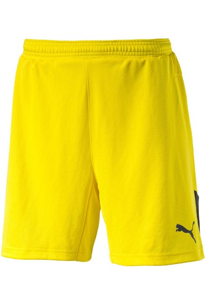 Puma 702090 55 / Stadium Men's Sport Şort