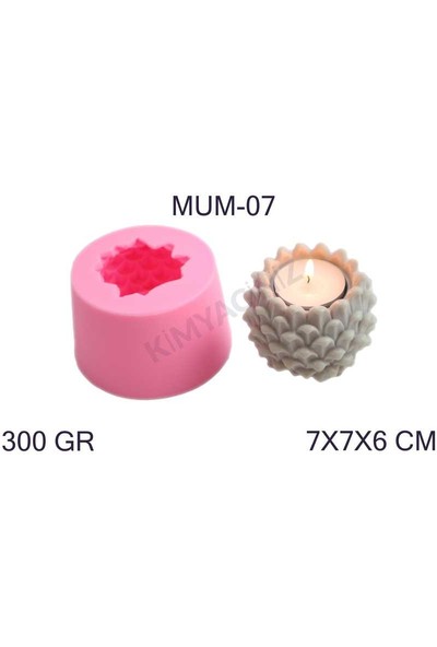 Kimyacınız Kaktüs Mumluk Silikon Kalıbı - Mum-07