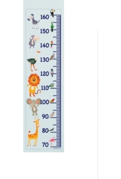 Sihirli Tahta Boy Ölçer Renkli 25 x 95 cm