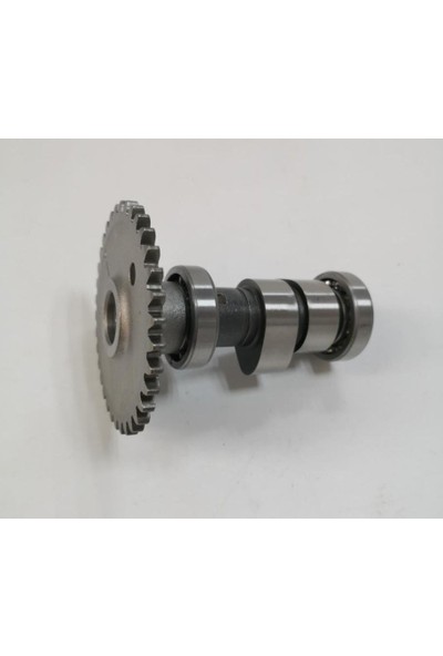 Motobisavm Eksantrik Mili Scooter